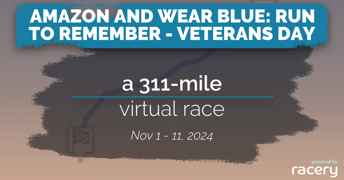 Amazon Veterans Day: supporting our military, veterans and families of ...